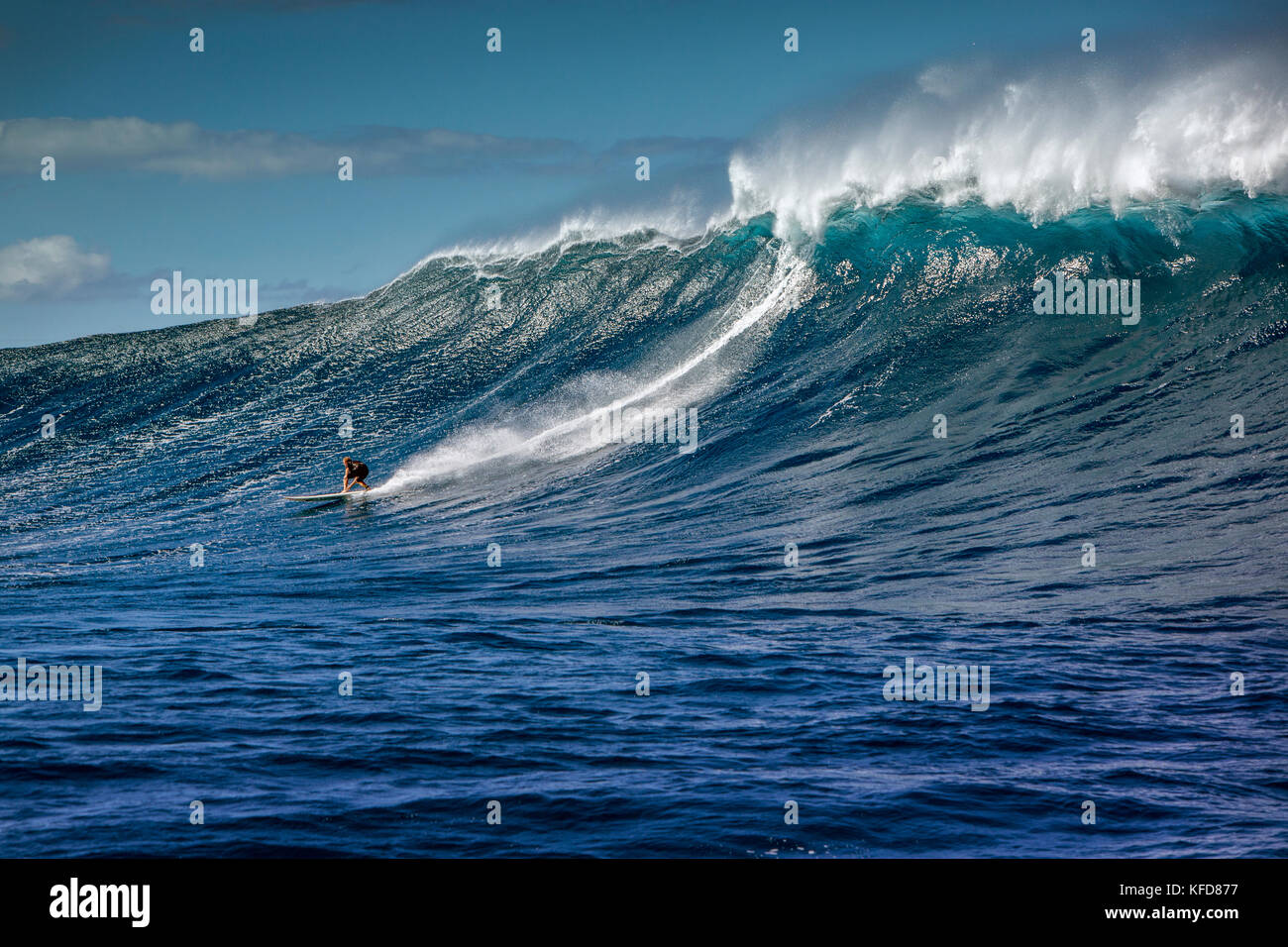 USA, HAWAII, Maui, Jaws, big wave surfers taking off on a wave at Peahi ...