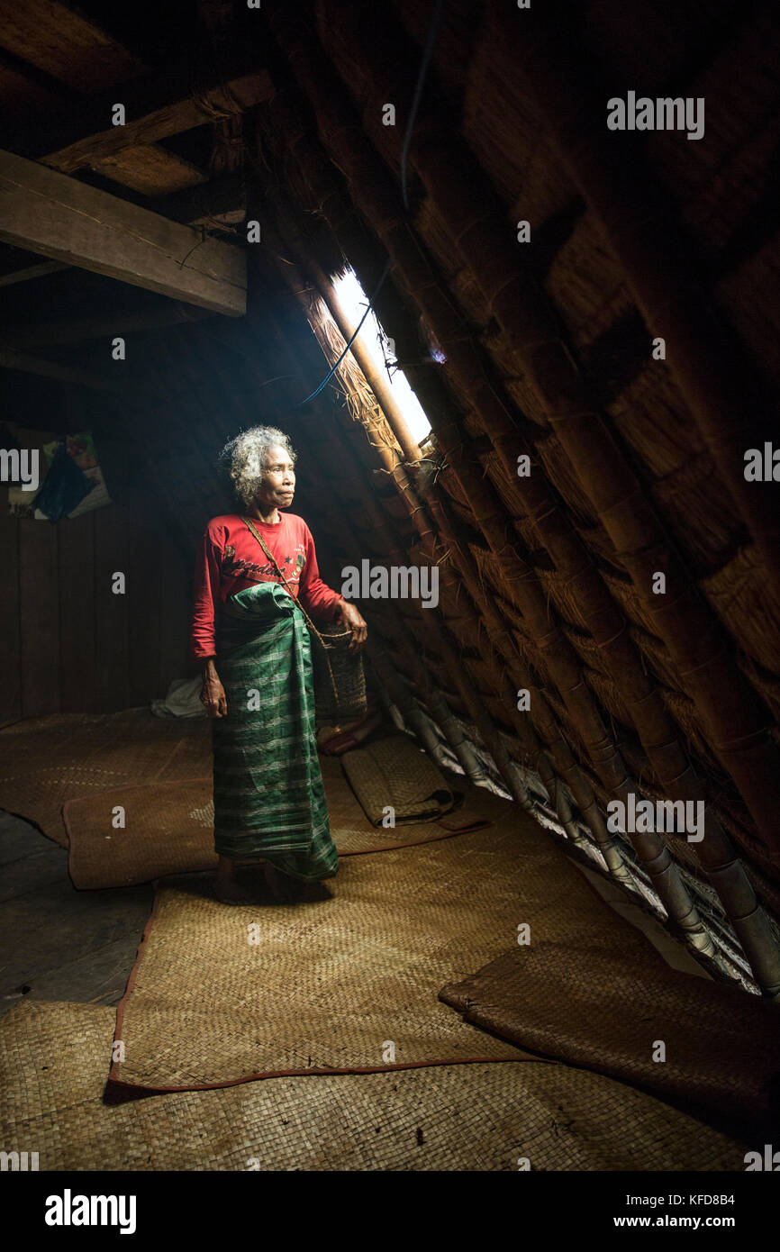 INDONESIA, Flores, Wae Rebo Village, portrait of an elder woman Safro ...