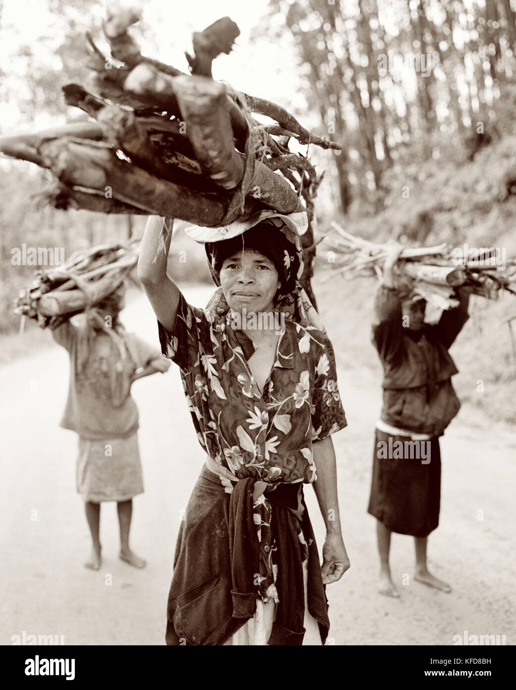 Madagascar, women carrying wood to the market, Perinet, Betsimisaraka ...