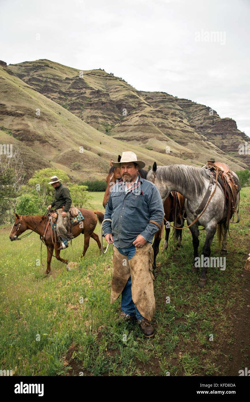 Two horses two sheep hi-res stock photography and images - Alamy