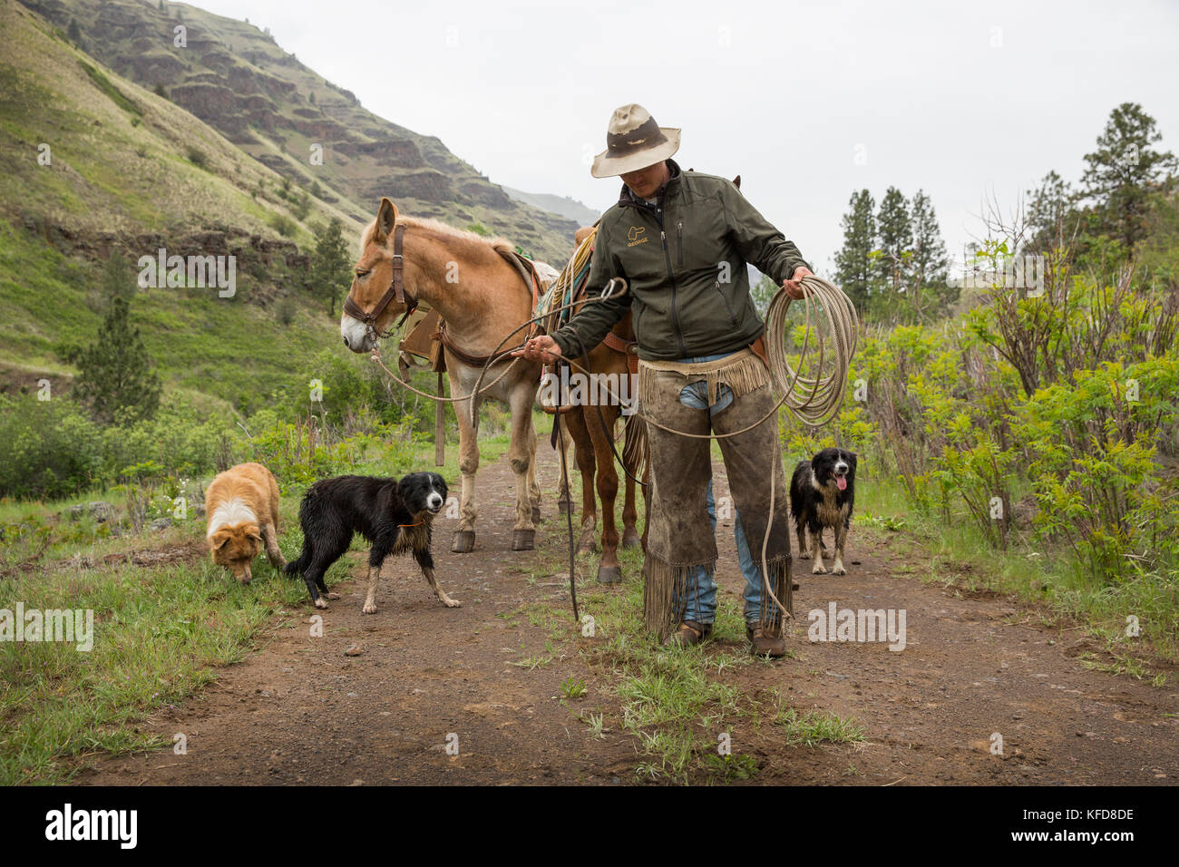 Coils of rope hi-res stock photography and images - Alamy