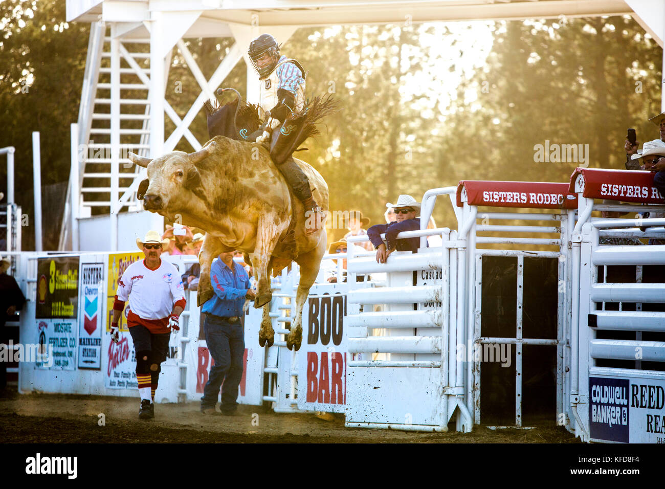 USA, Oregon, Sisters, Sisters Rodeo, cowboys ride a 2,000 pound bull ...