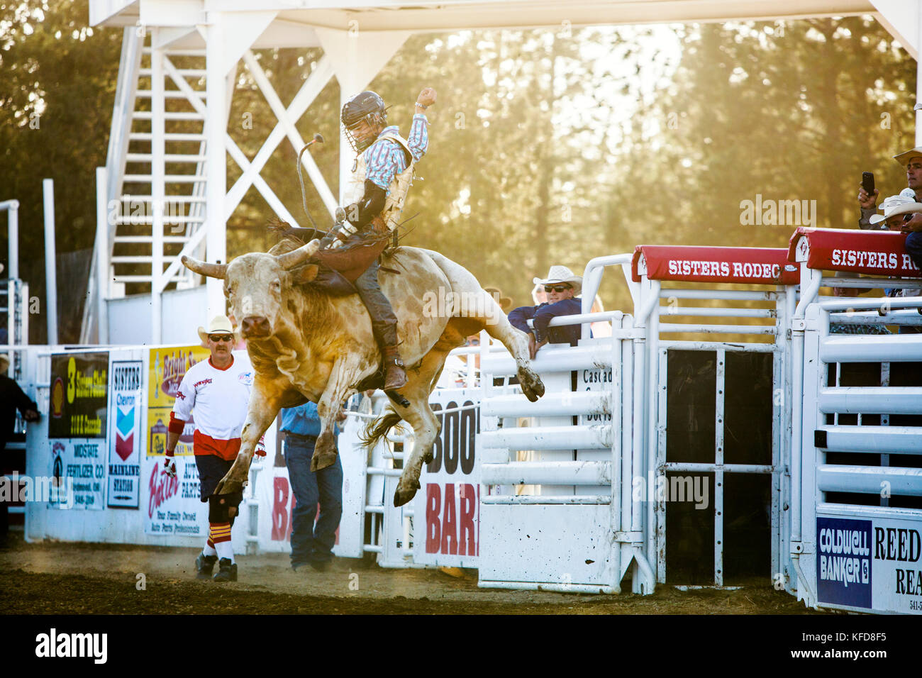 USA, Oregon, Sisters, Sisters Rodeo, cowboys ride a 2,000 pound bull ...