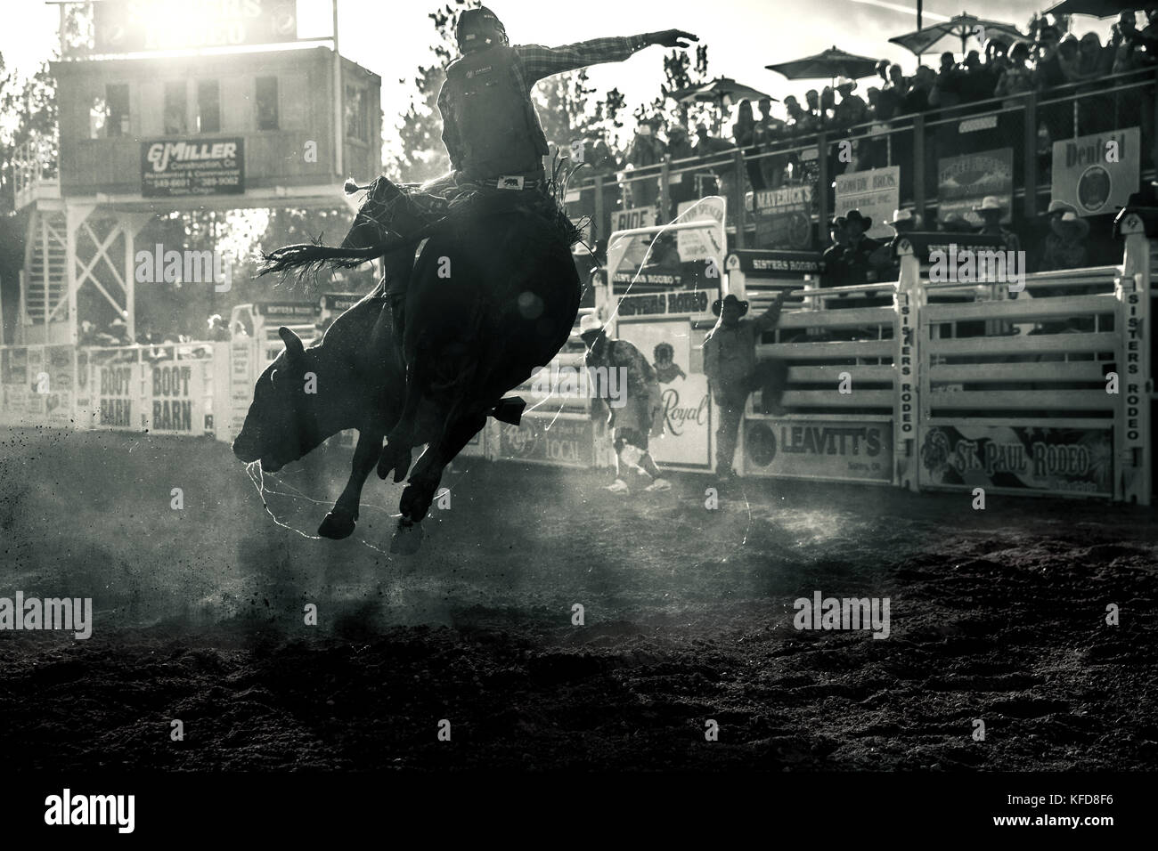 USA, Oregon, Sisters, Sisters Rodeo, cowboys ride a 2,000 pound bull ...