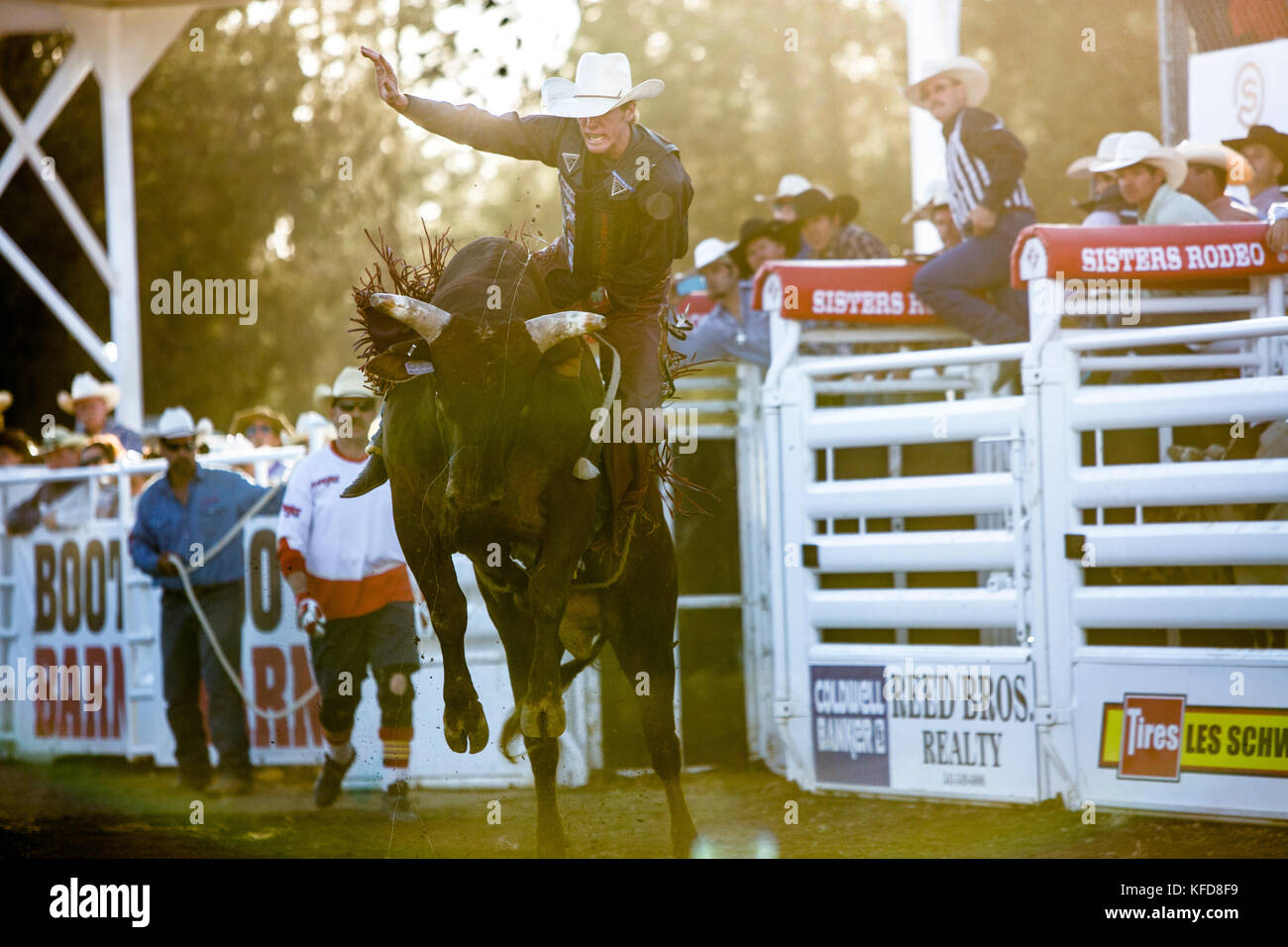 USA, Oregon, Sisters, Sisters Rodeo, cowboys ride a 2,000 pound bull ...