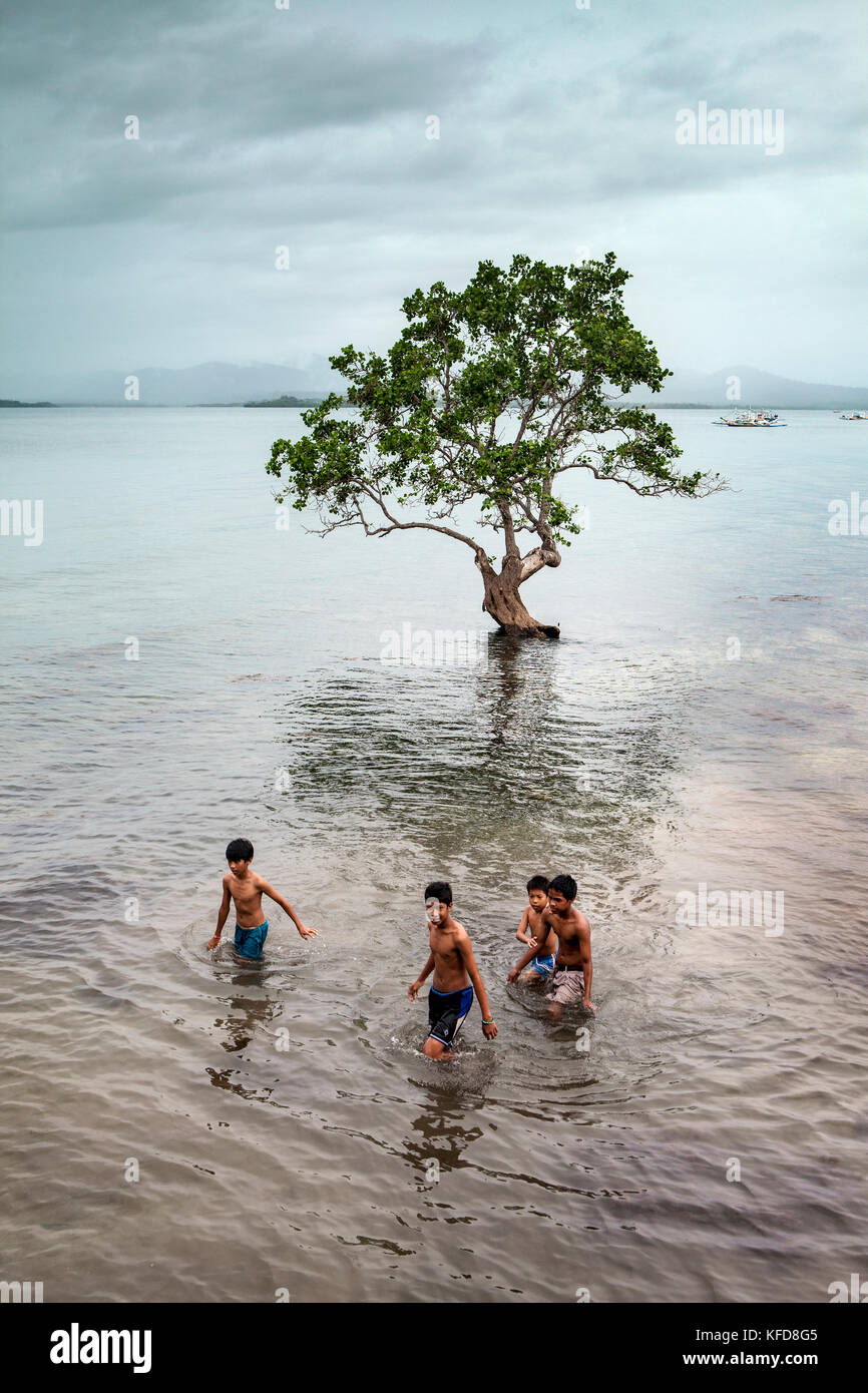 PHILIPPINES, Palawan, Puerto Princesa, view of a Bakawan tree and kids ...