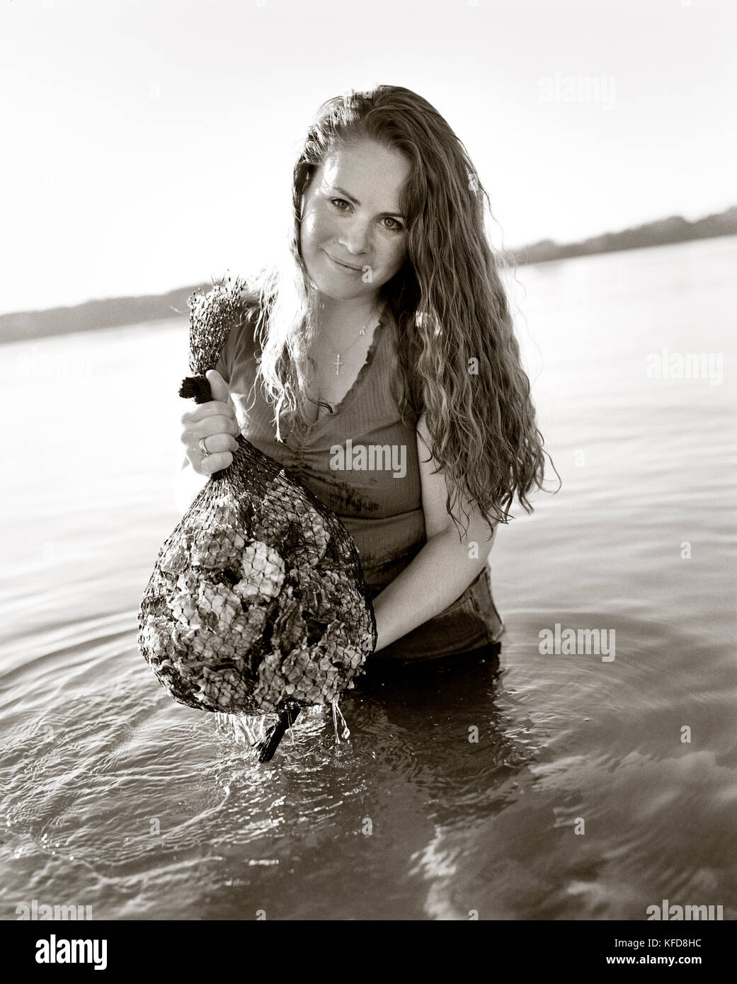 Totten inlet oysters hi-res stock photography and images - Alamy