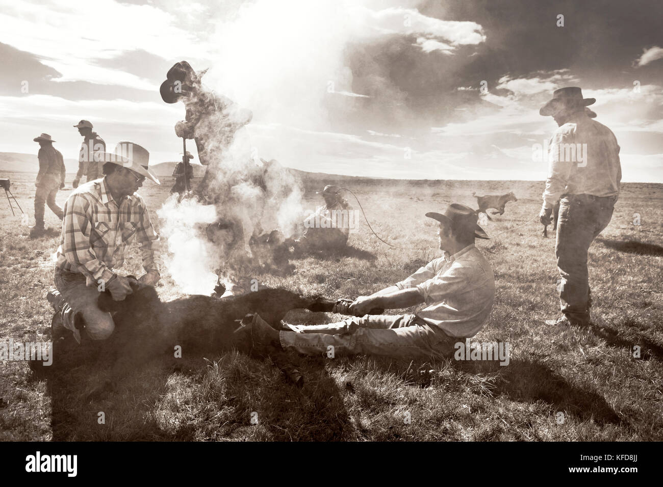 Cowboy ranch culture hi-res stock photography and images - Alamy
