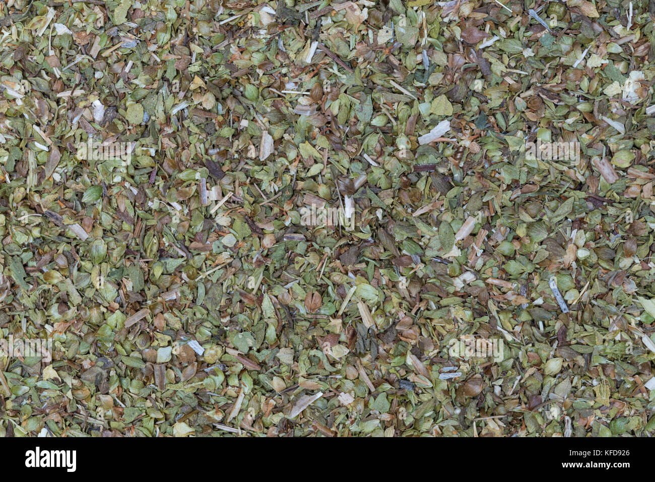 Oregano macro detail background Stock Photo - Alamy