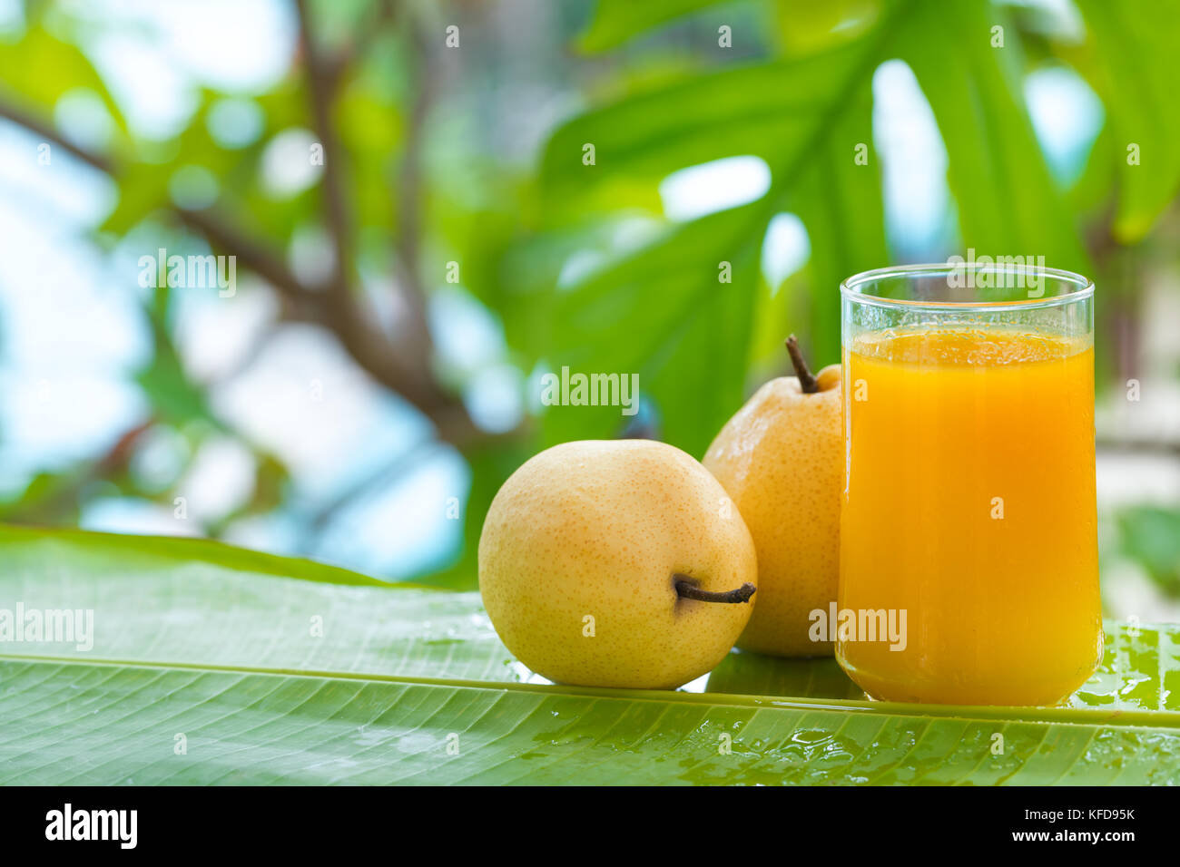 Fresh yellow pear tropic fruit summer refreshment smoothie shake drink ...