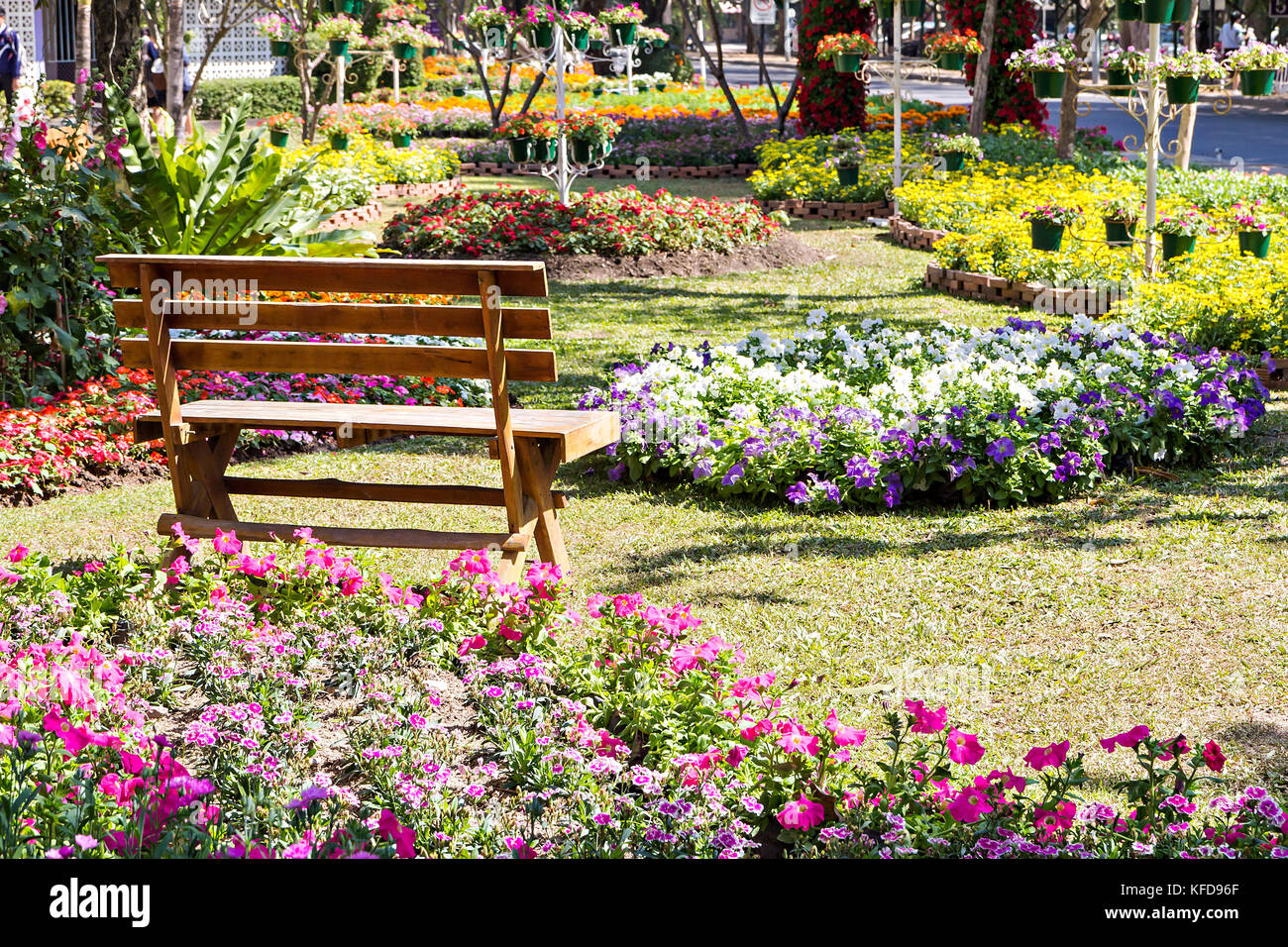Wooden bench in the colorful flower garden Stock Photo - Alamy