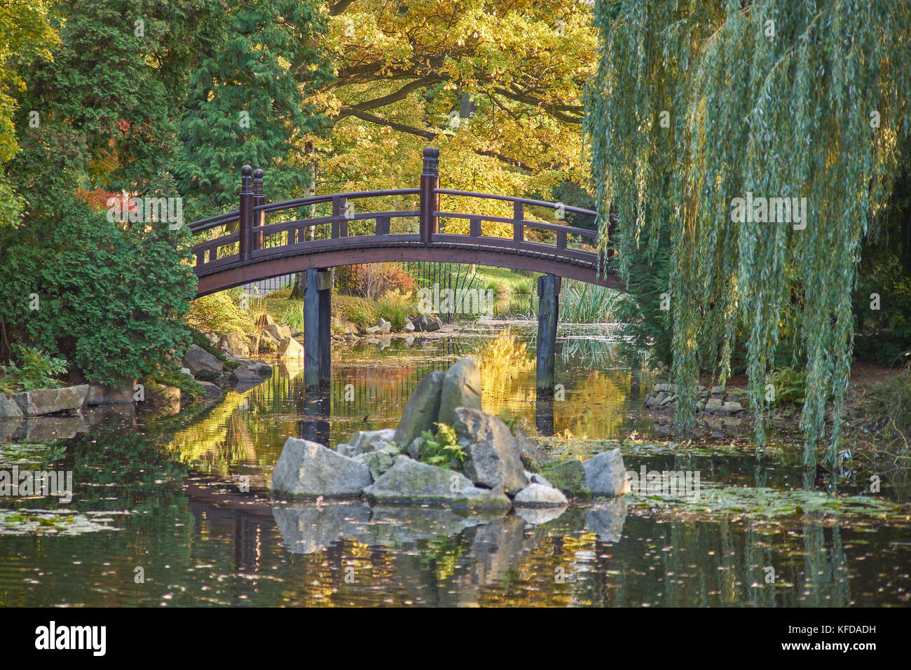 Wooden bridge across the pond Japanese Garden in autumn Wroclaw Lower ...