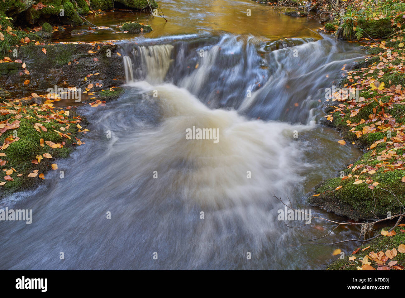 Wild River Bystrzyca Kłodzka in the upper course and it's river bed in ...