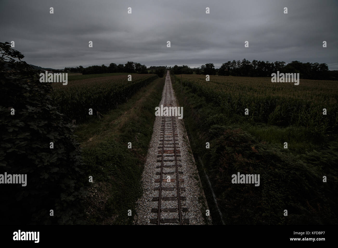 Long parallels of railway running away in countryside in gloomy dark ...