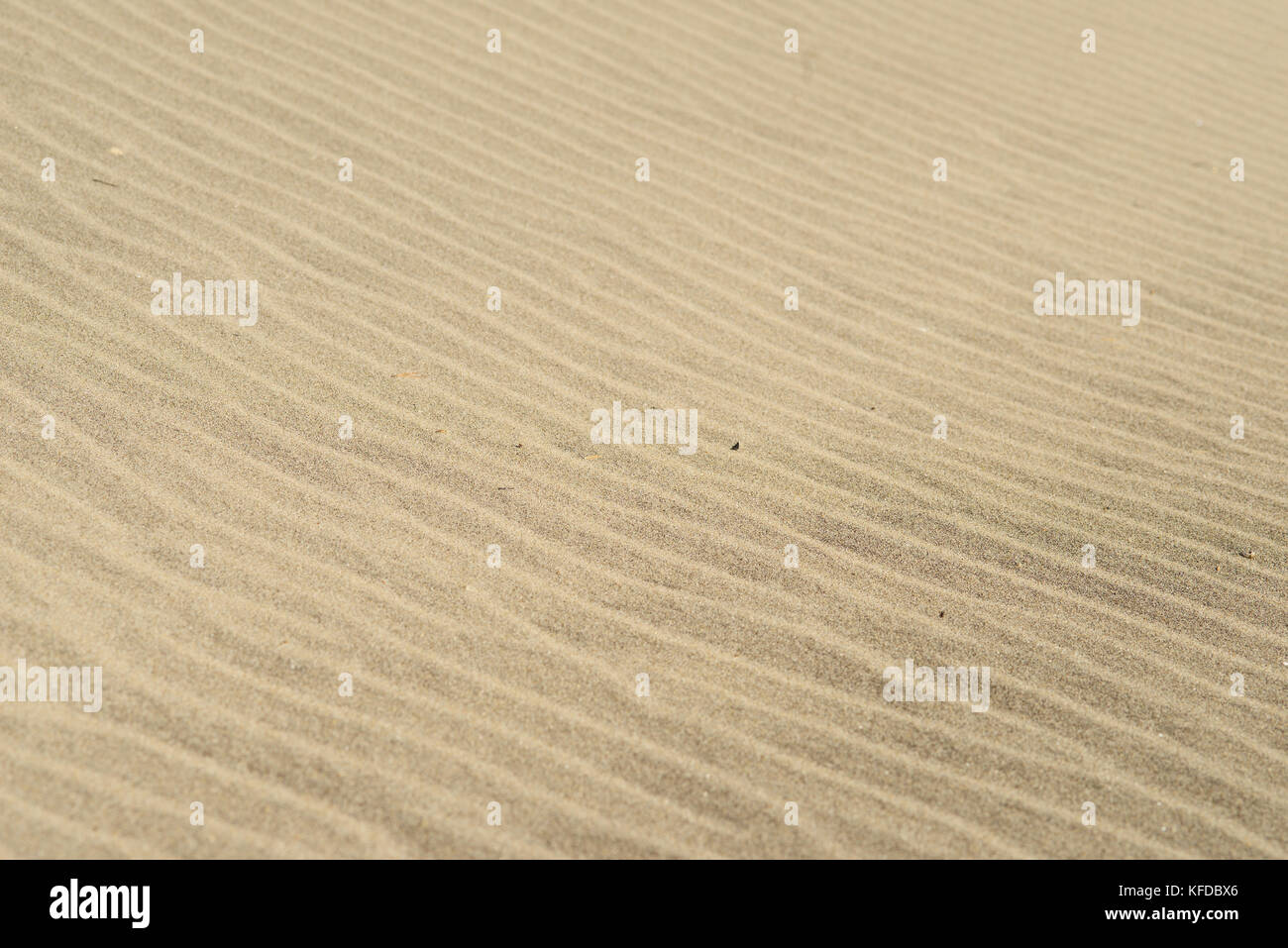 Patterns in the sand on the beach Stock Photo - Alamy