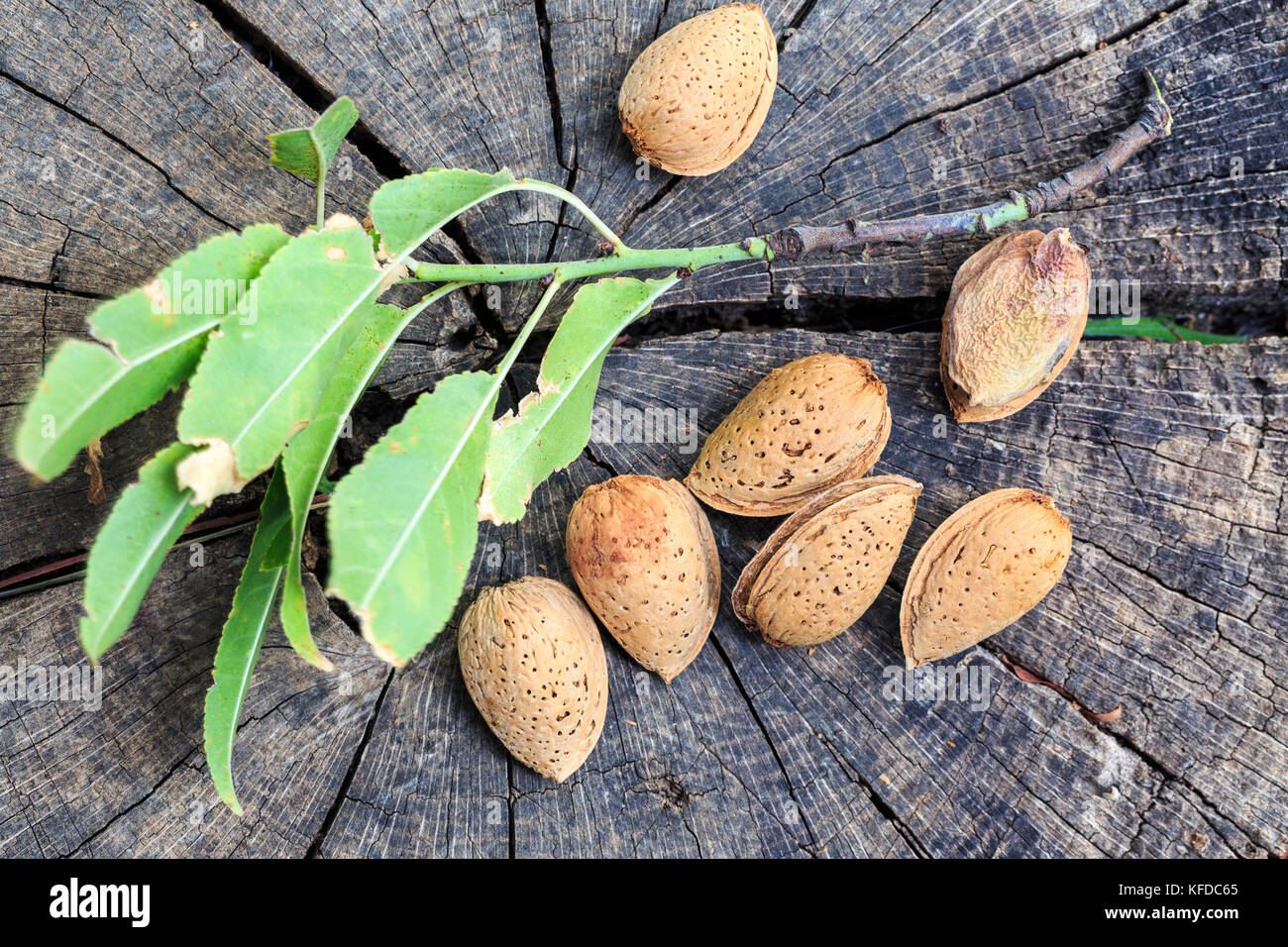 Dried Almond in shells on the wood Stock Photo - Alamy