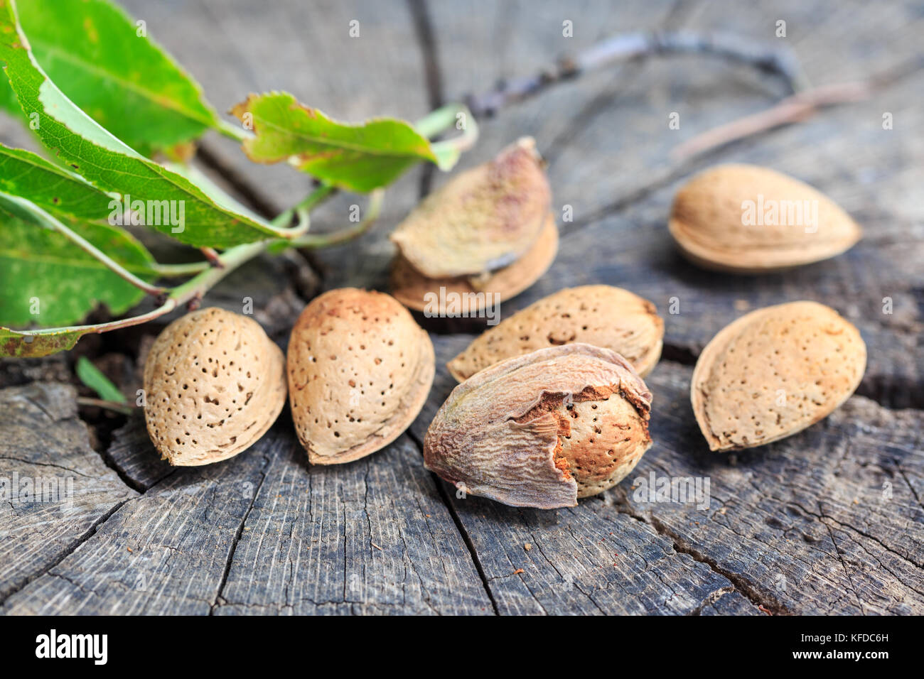 Almond in shells hi-res stock photography and images - Alamy