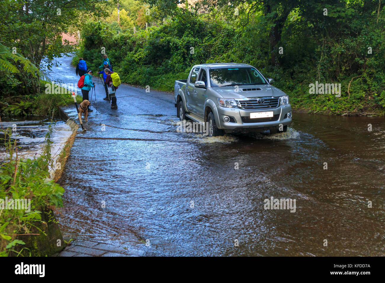 Toyota pickup truck passing a group of walkers and about to cross a ...