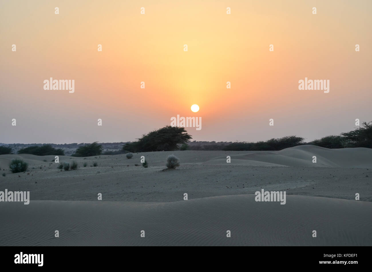 Sunset over the desert, Rajasthan, India Stock Photo - Alamy