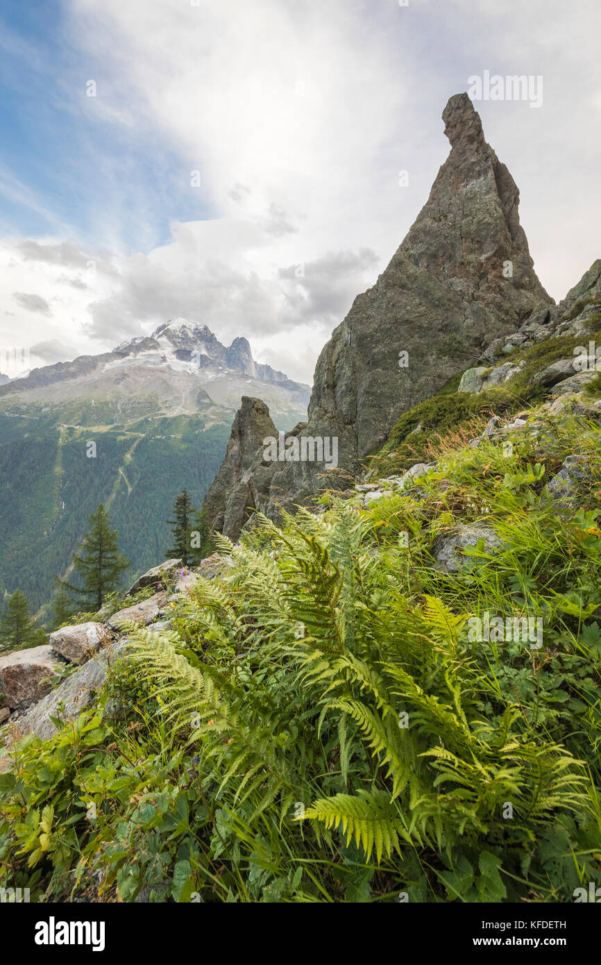 Aiguilles rouges national nature reserve hi-res stock photography and ...