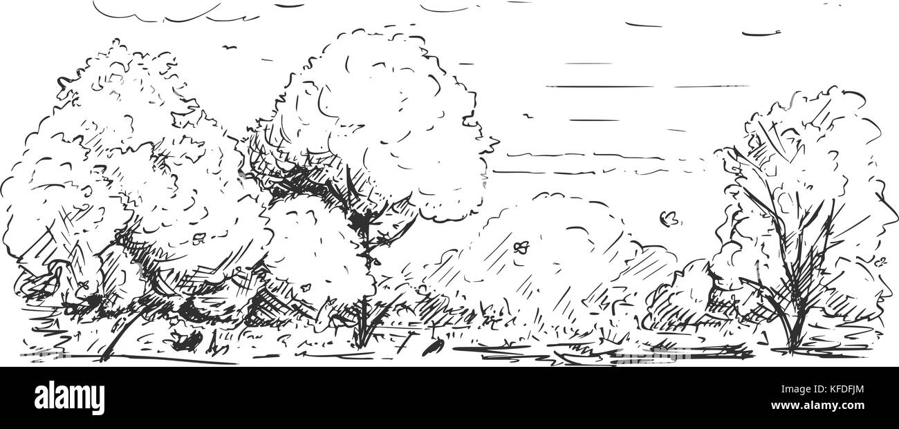 Vector cartoon sketchy drawing of nature park landscape with trees ...