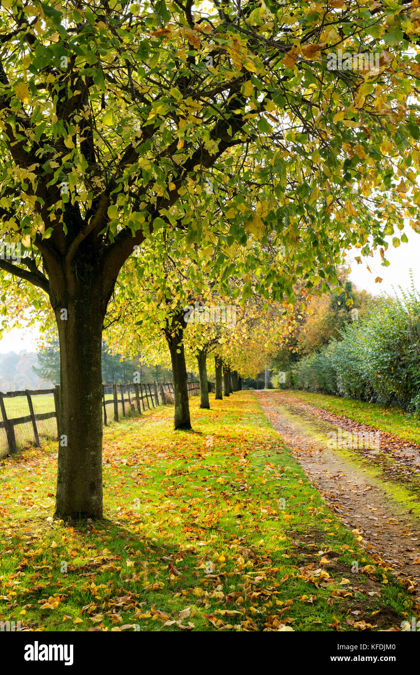 Great rollright hi-res stock photography and images - Alamy