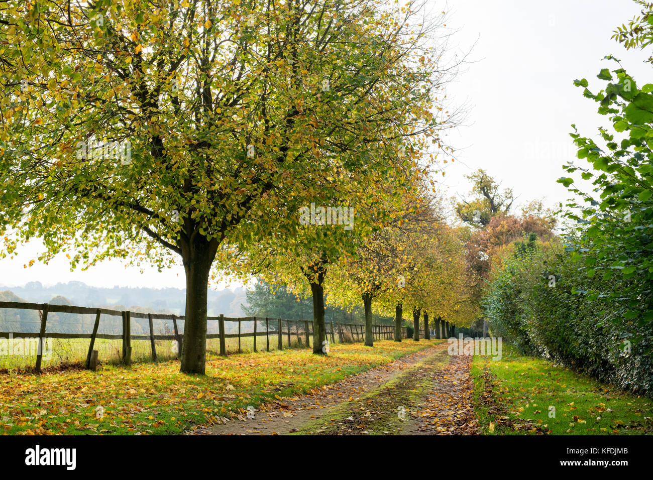 Great rollright hi-res stock photography and images - Alamy