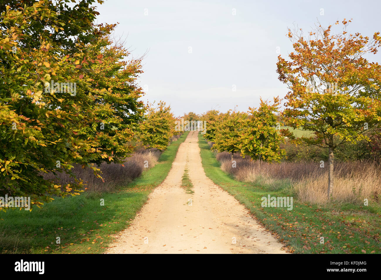 Autumnal farm track / bridalway in Little Rollright, Cotswolds, West ...