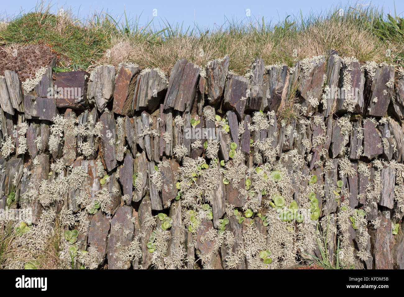 Cornish wall hi-res stock photography and images - Alamy