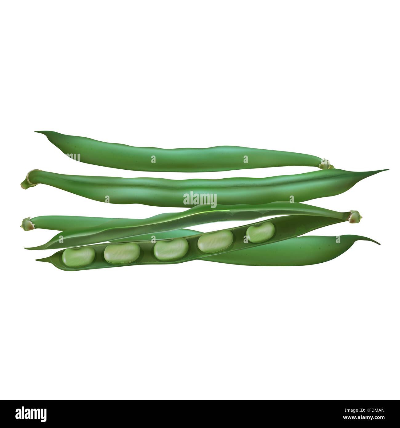 Bean on white background Stock Photo - Alamy