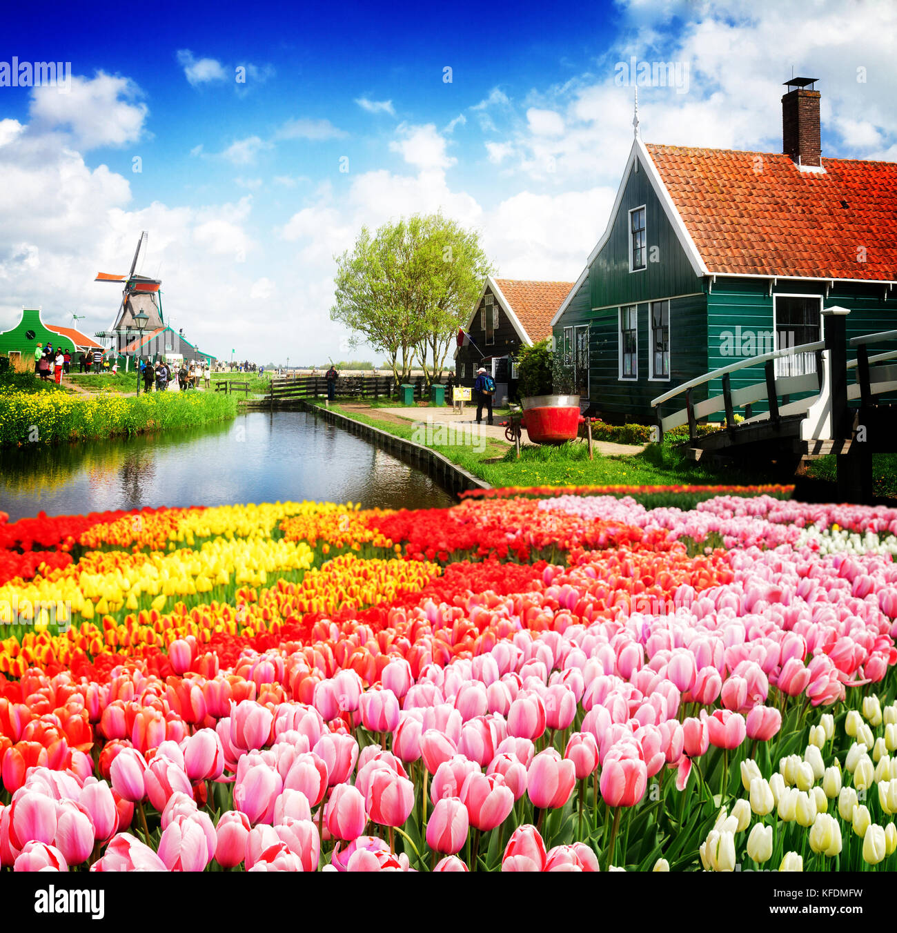 rural dutch scenery of small old houses and canal in Zaanse Schans ...