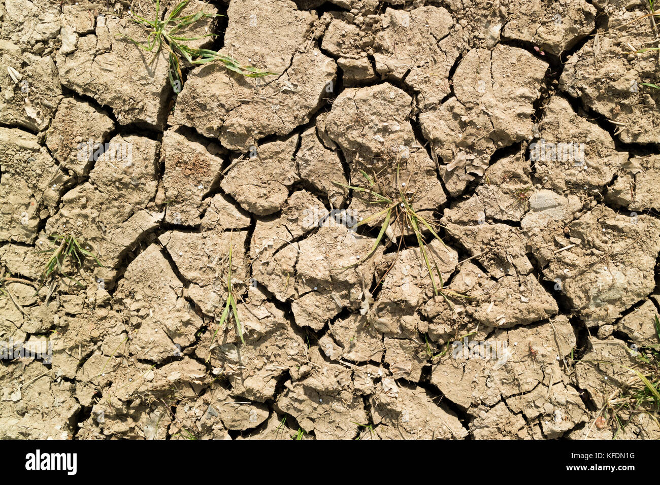 Drout hi-res stock photography and images - Alamy