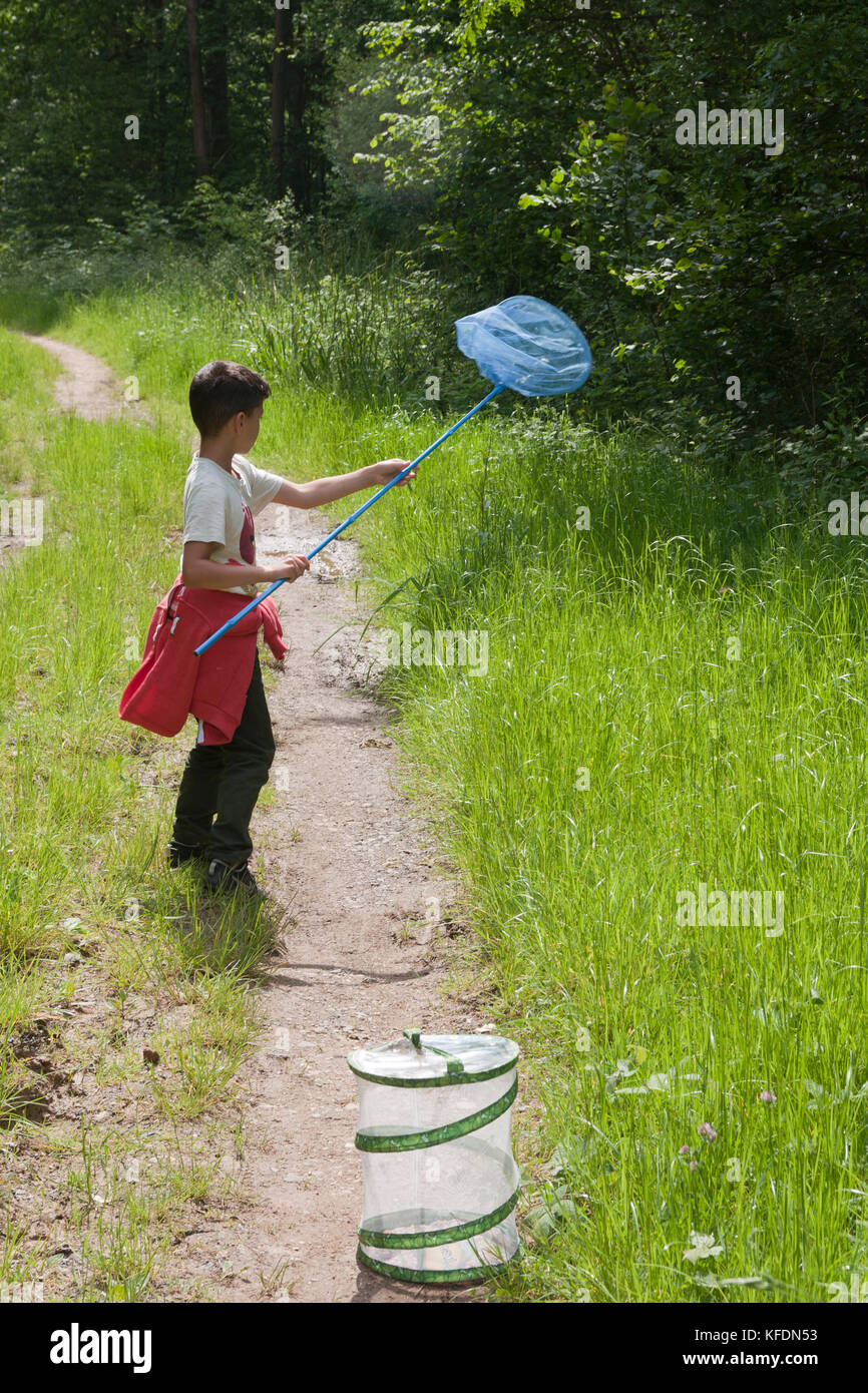 little boy on butterfly hunt near Chiddingfold, West Sussex Stock Photo ...