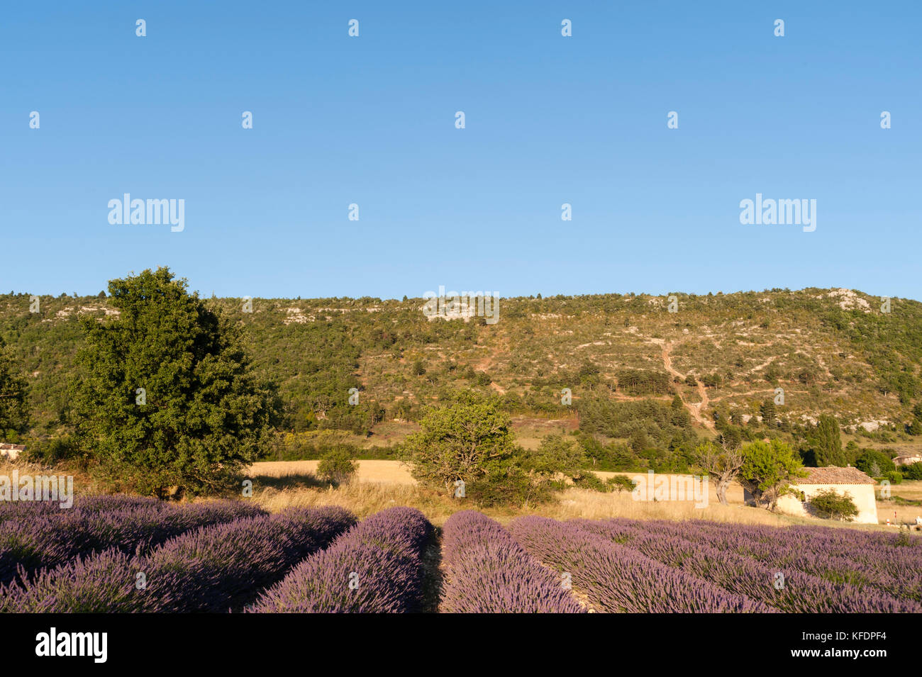 Sault, Provence, France Stock Photo - Alamy