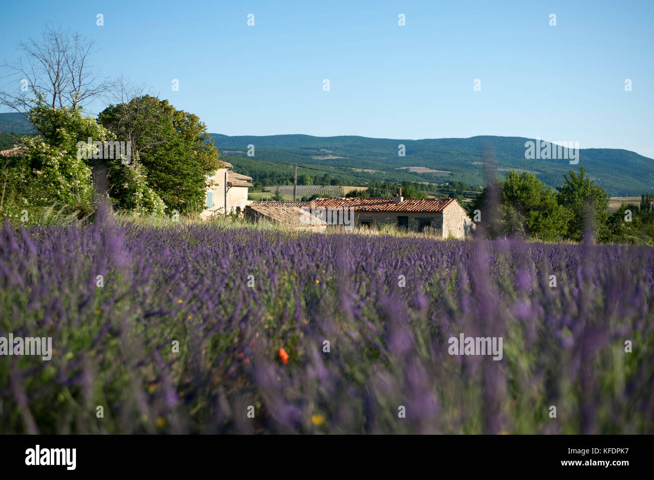 Sault, Provence, France Stock Photo - Alamy