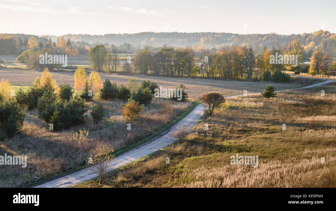 countryside fields in autumn with lonely gold colored trees and cloudy ...