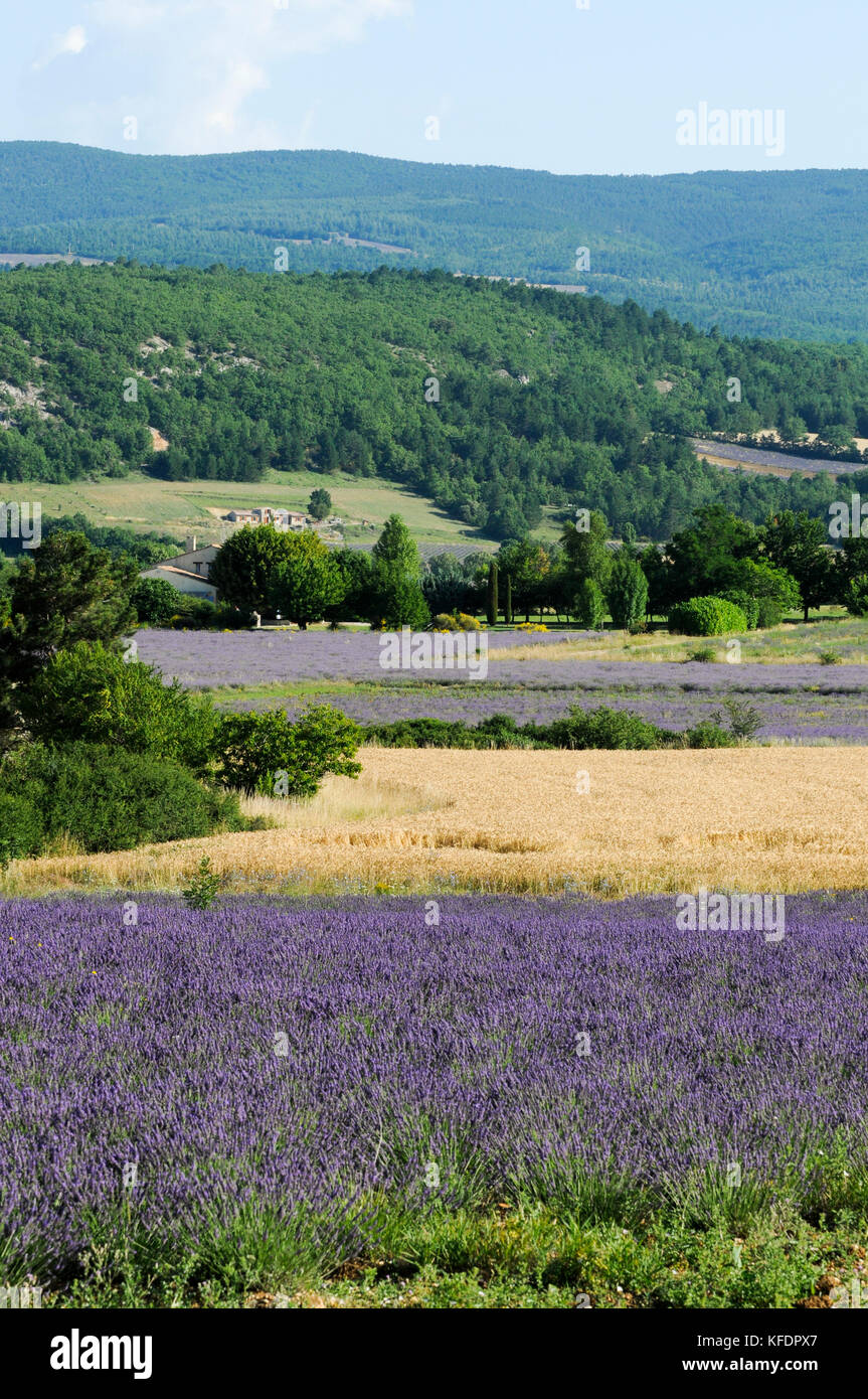 Sault, Provence, France Stock Photo - Alamy