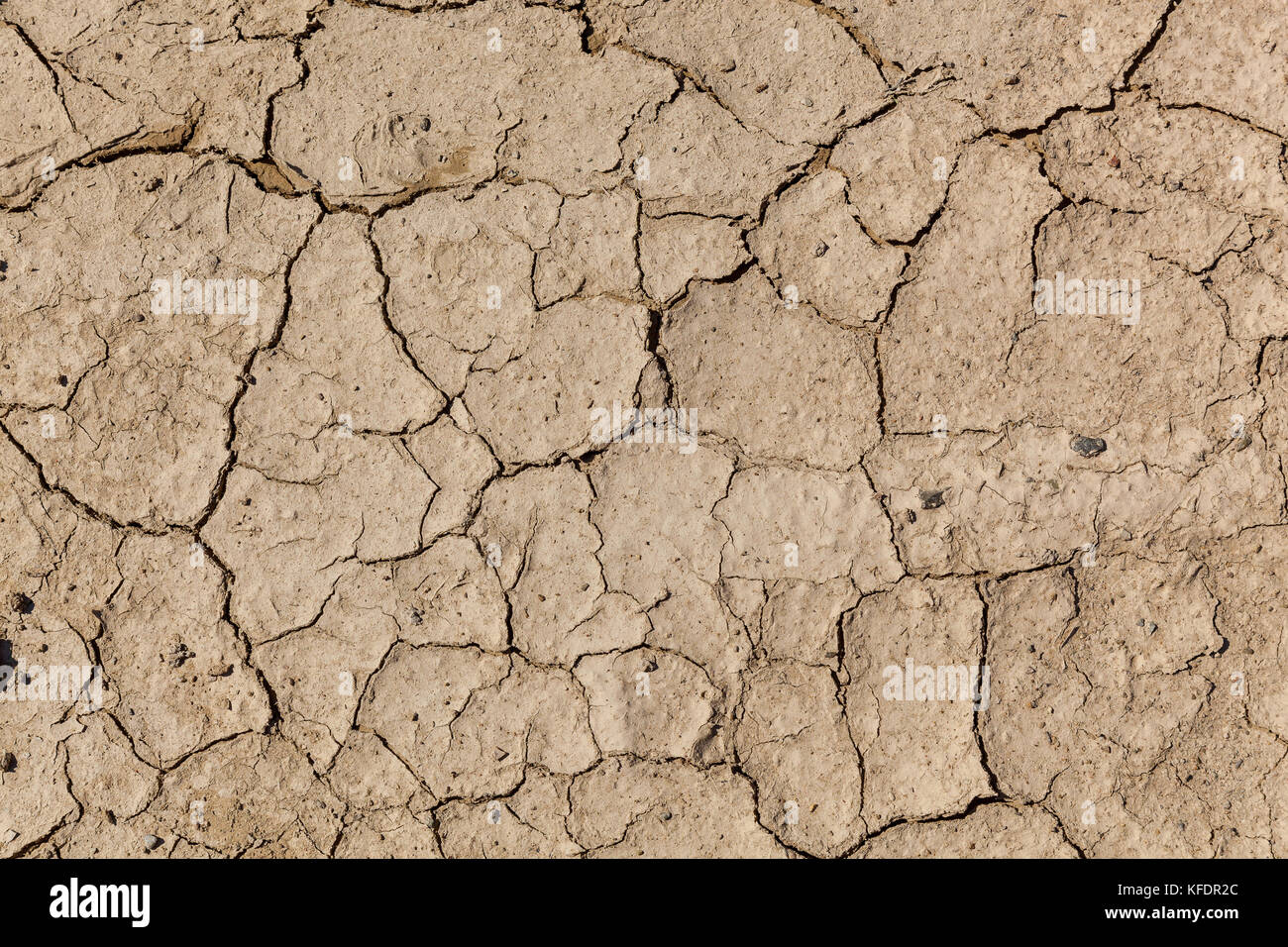Earth ground crack with dust and rough dry surface texture, Drought ...