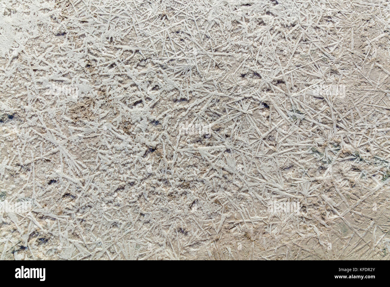 The crust of salt on the bottom of the curative mud dry lake. The ...