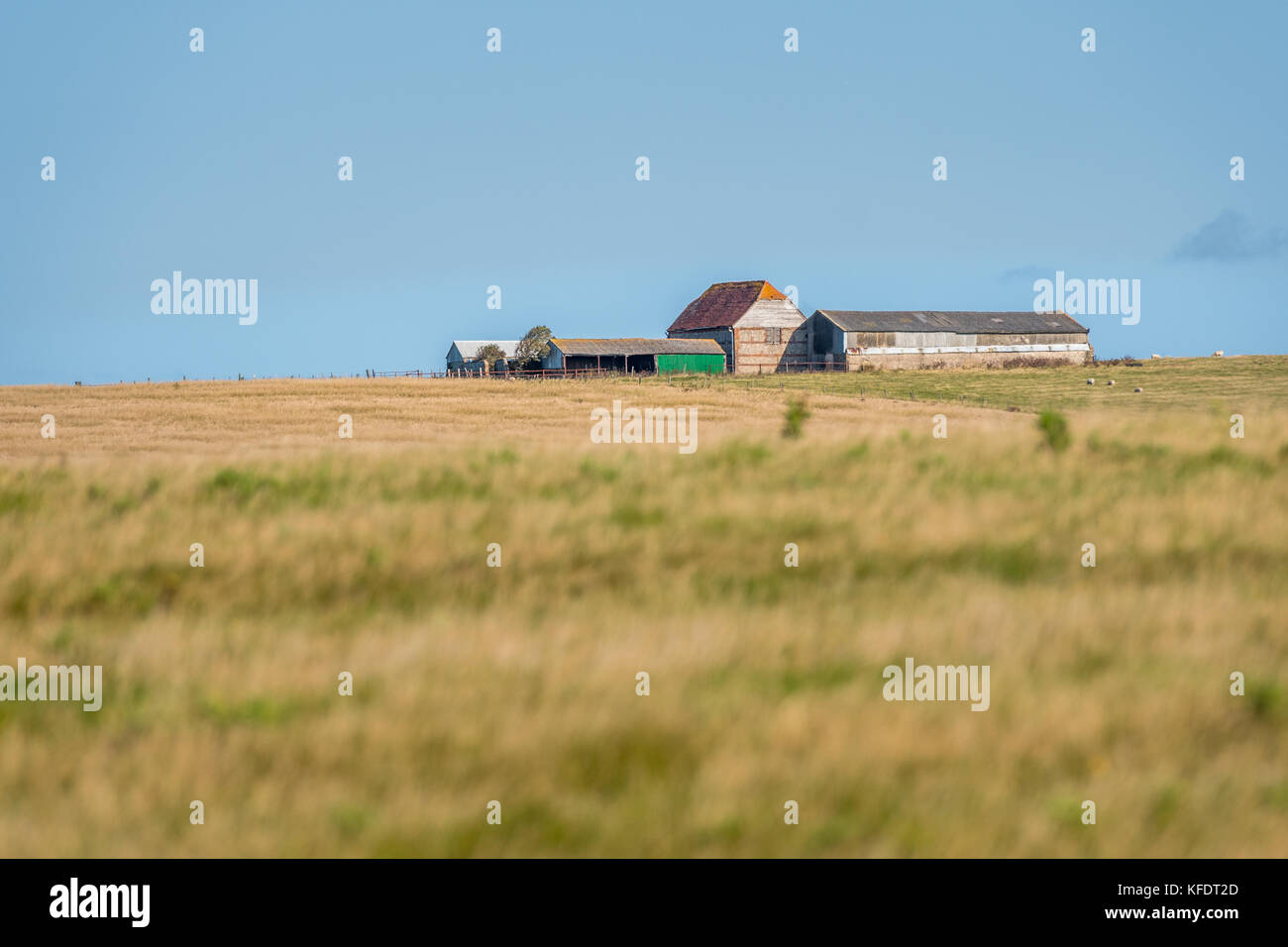Isolated ranch farm on wide down land prairie fields Stock Photo - Alamy