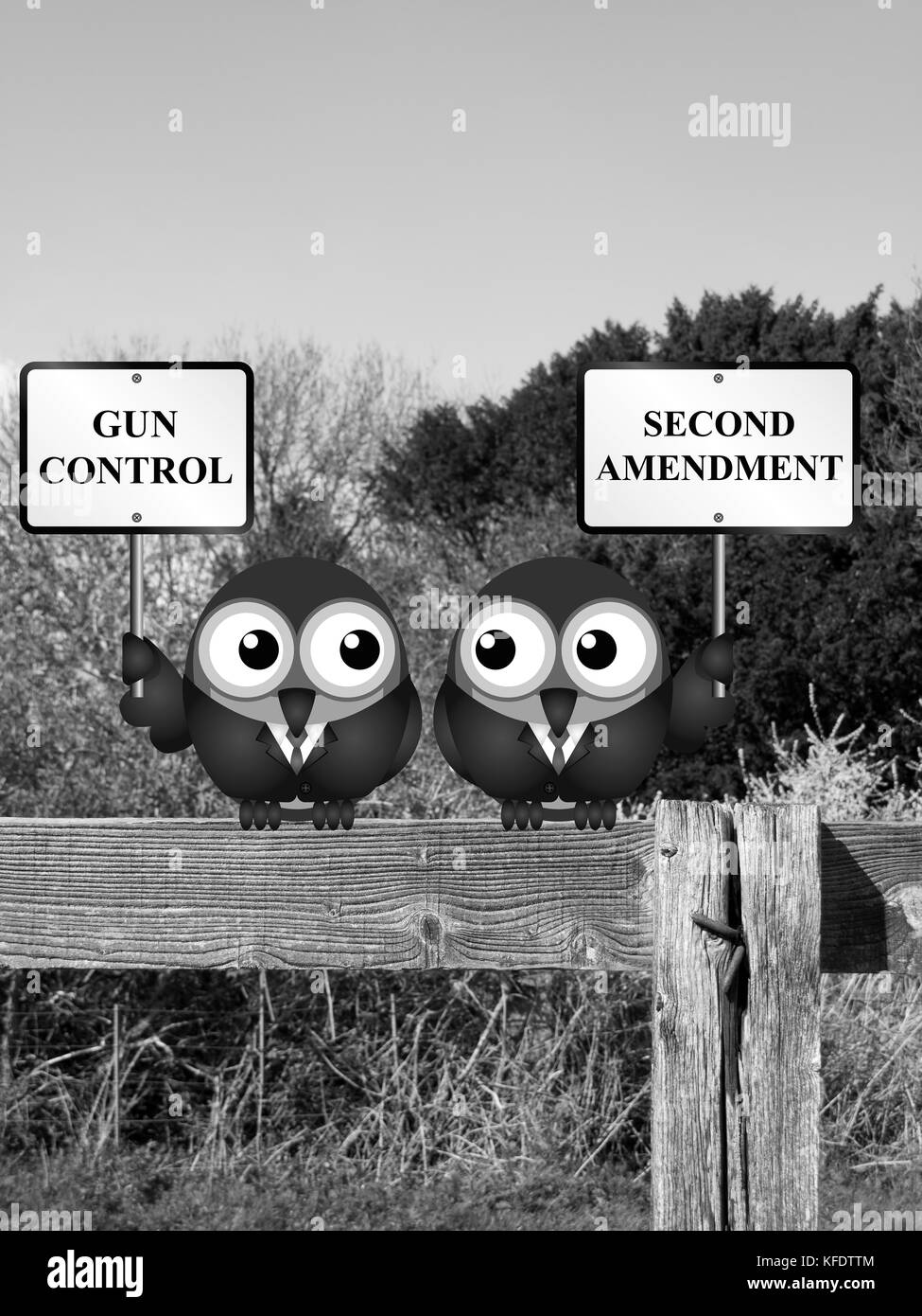 Gun control verses the USA second amendment and the right to keep and ...