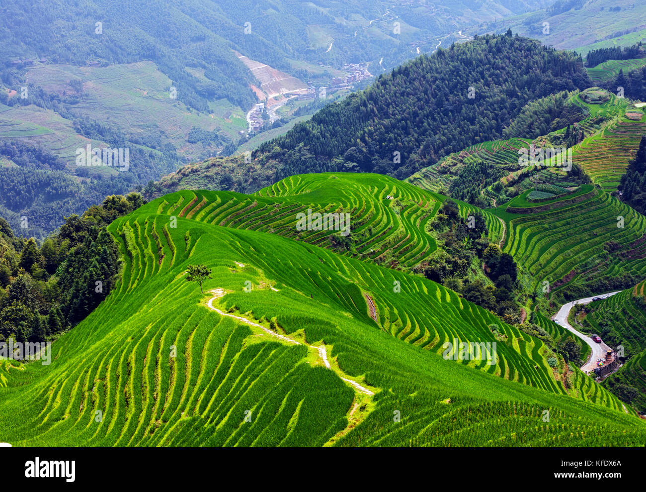 Stock Photo - Longji terraces rice fields near Guilin, Guangxi - China ...