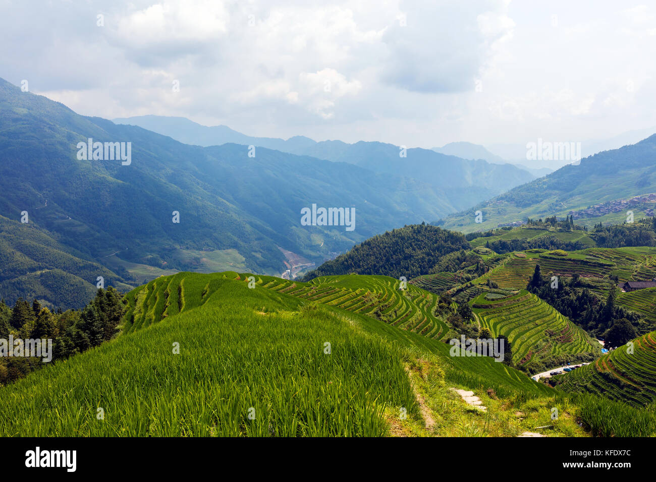 Stock Photo - Longji terraces rice fields near Guilin, Guangxi - China ...