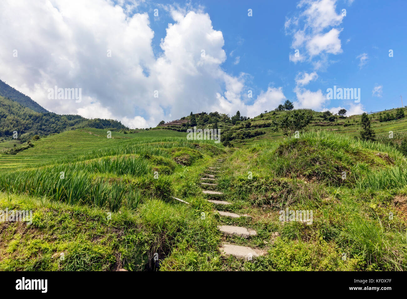 Stock Photo - Longji terraces rice fields near Guilin, Guangxi - China ...