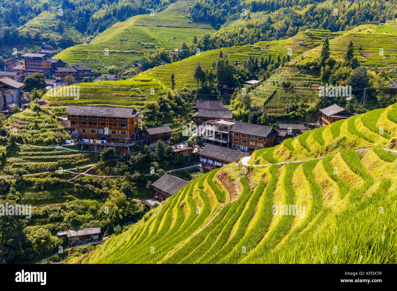 Stock Photo - Longji terraces rice fields near Guilin, Guangxi - China ...