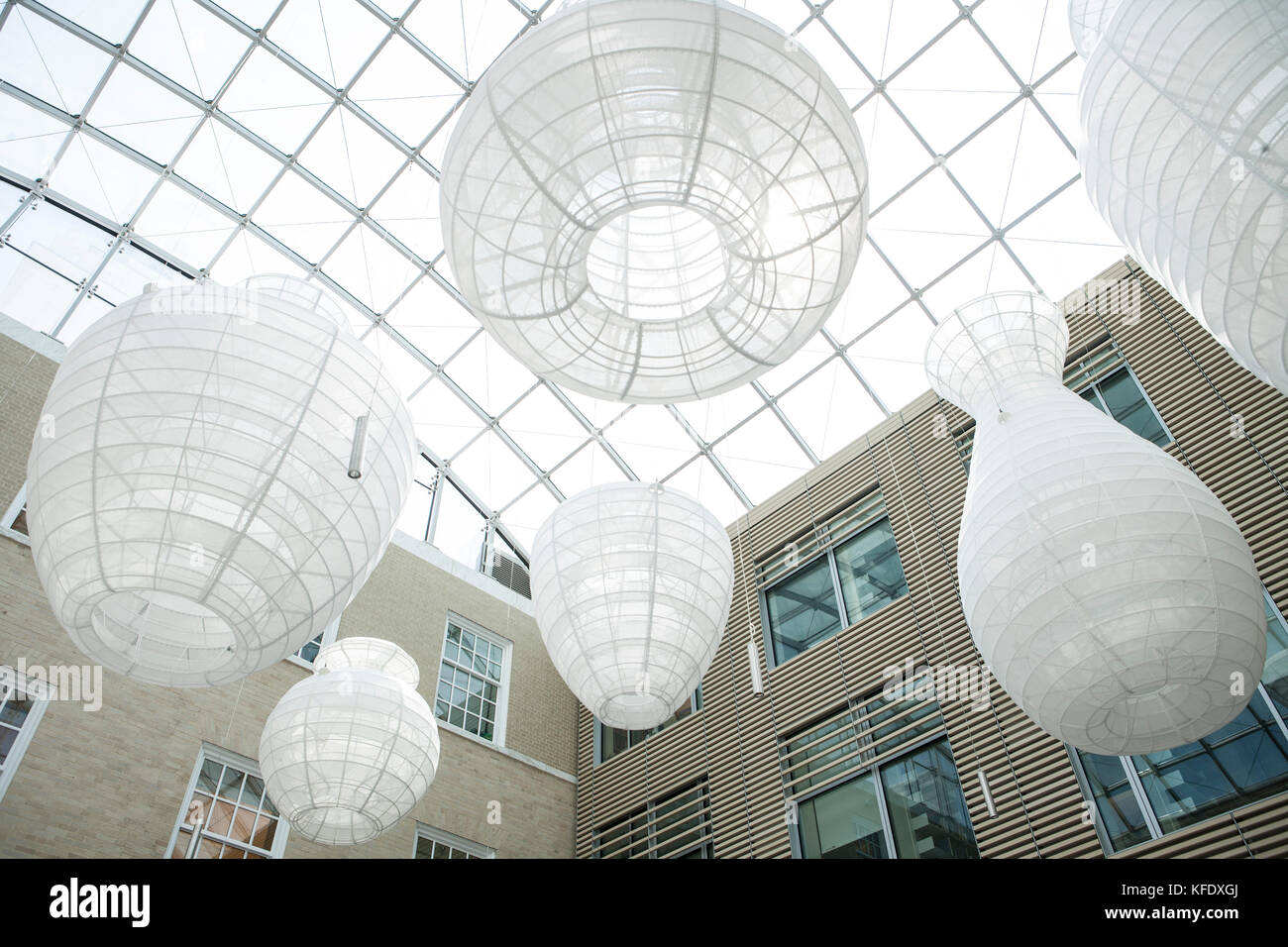 Low Angle View of Paper Lanterns Hanging Below Atrium Skylight, Gilman ...