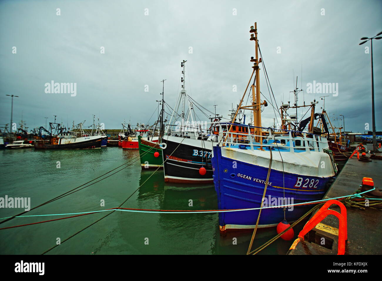 Portavogie ireland hi-res stock photography and images - Alamy