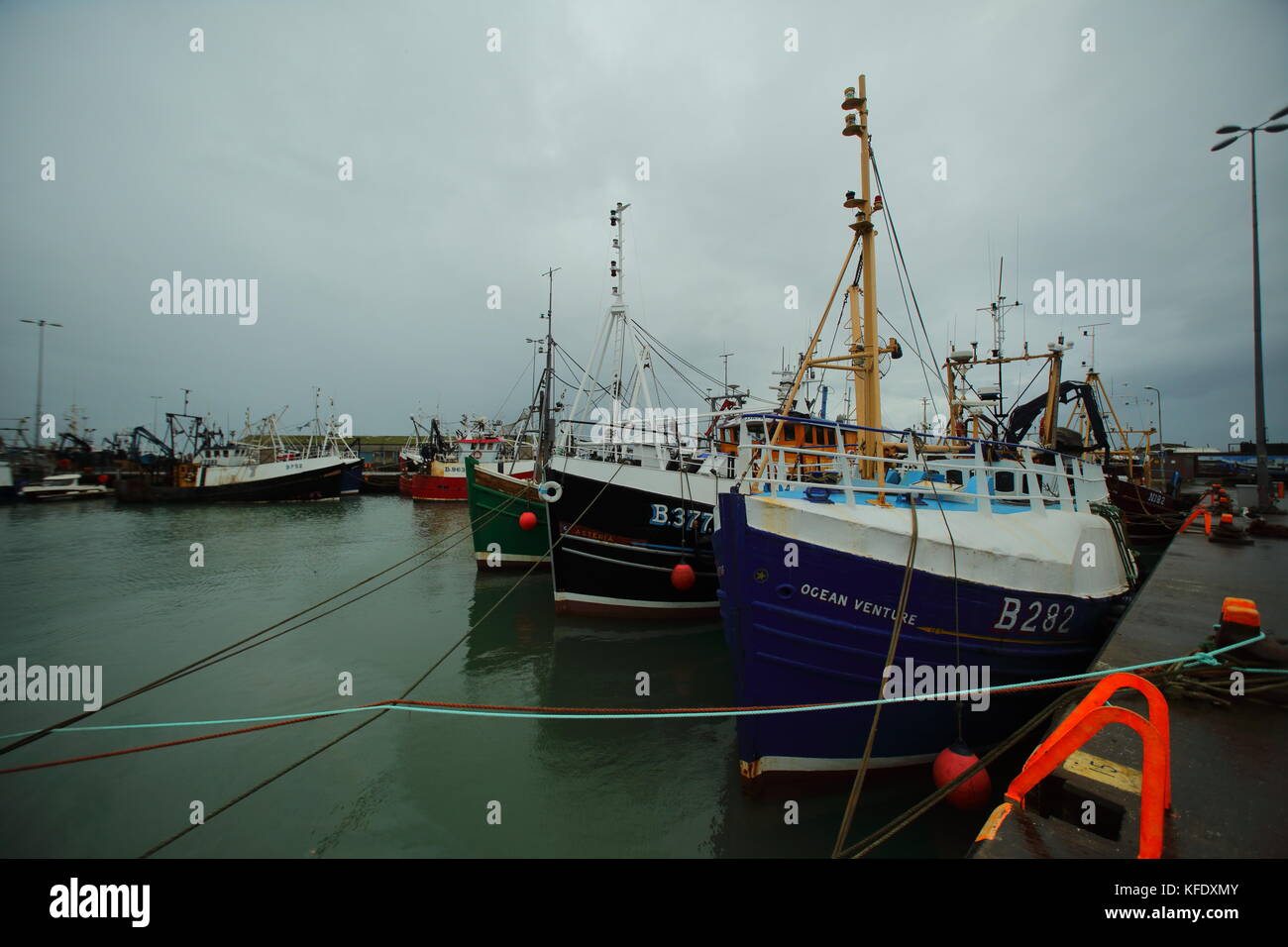 Portavogie ireland hi-res stock photography and images - Alamy