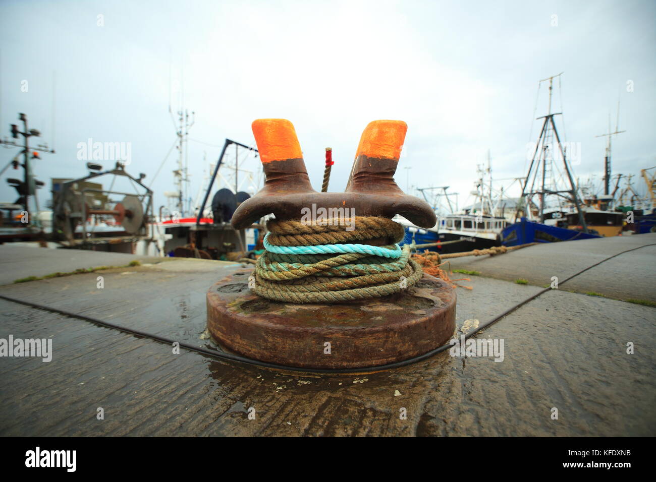 Portavogie ireland hi-res stock photography and images - Alamy
