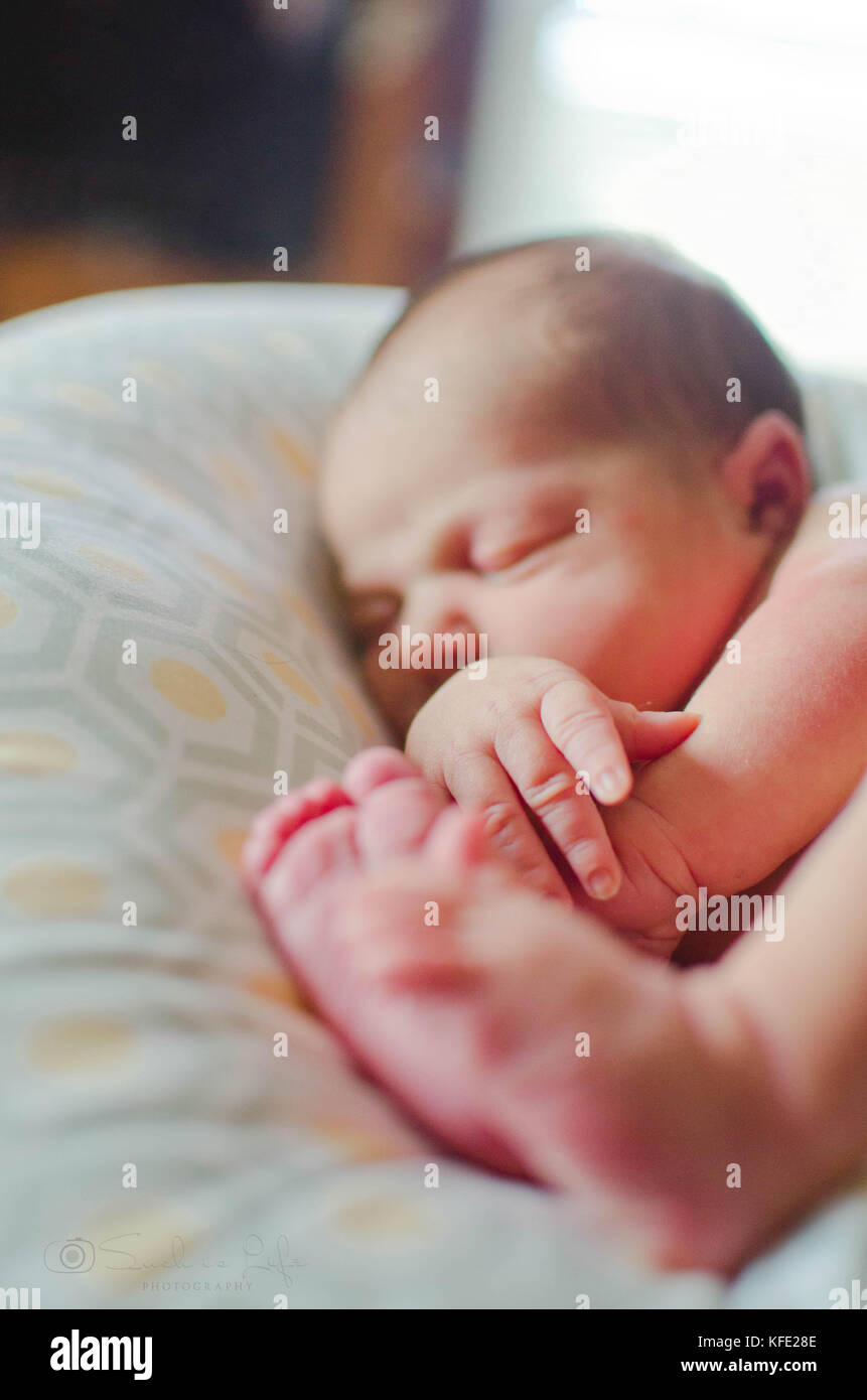 Newborn human baby asleep on a pillow Stock Photo - Alamy